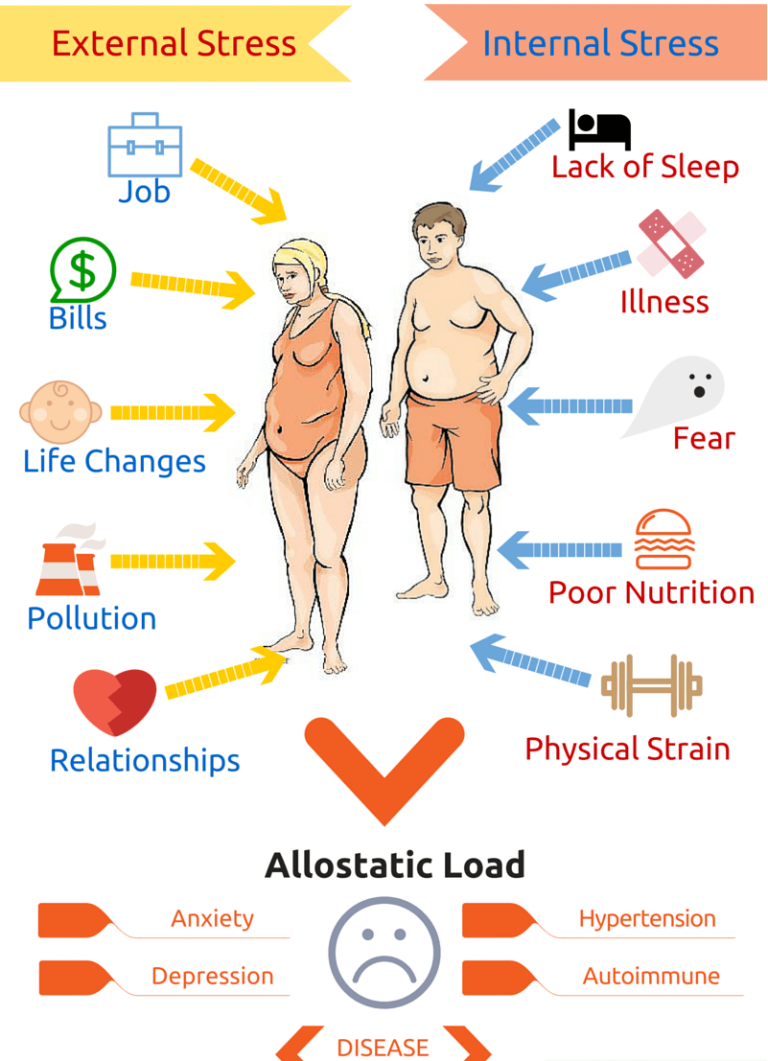 Allostatic Load - EarthFitTraining.com Allostatic Load - EarthFitTraining.com
